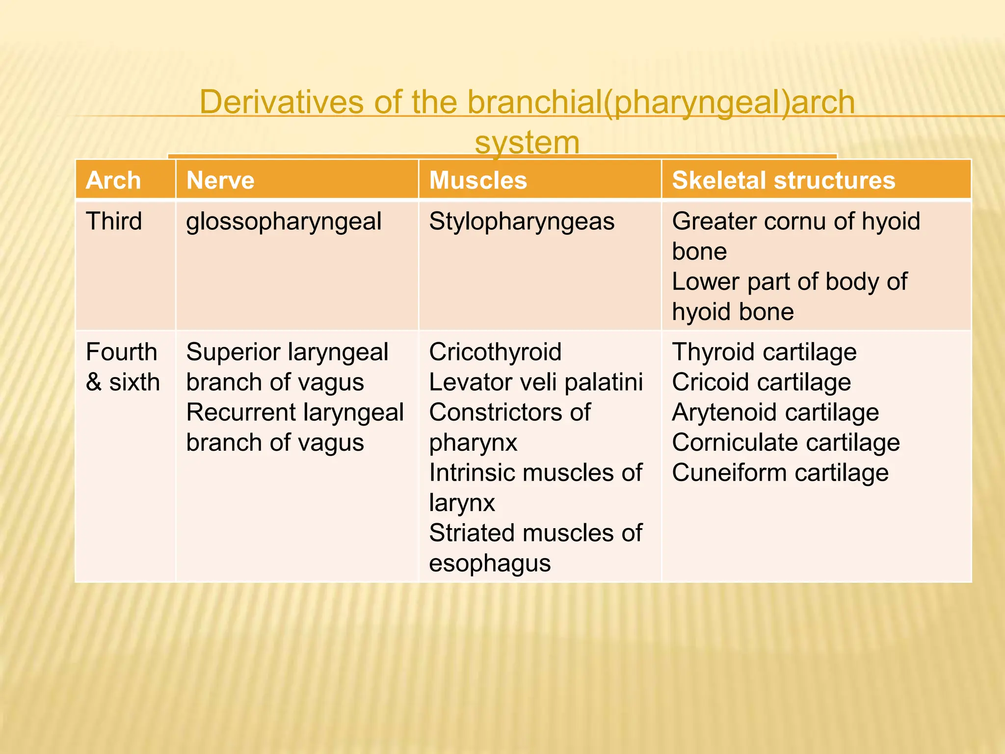 Basic Embryology for 1st BDS students.pptx