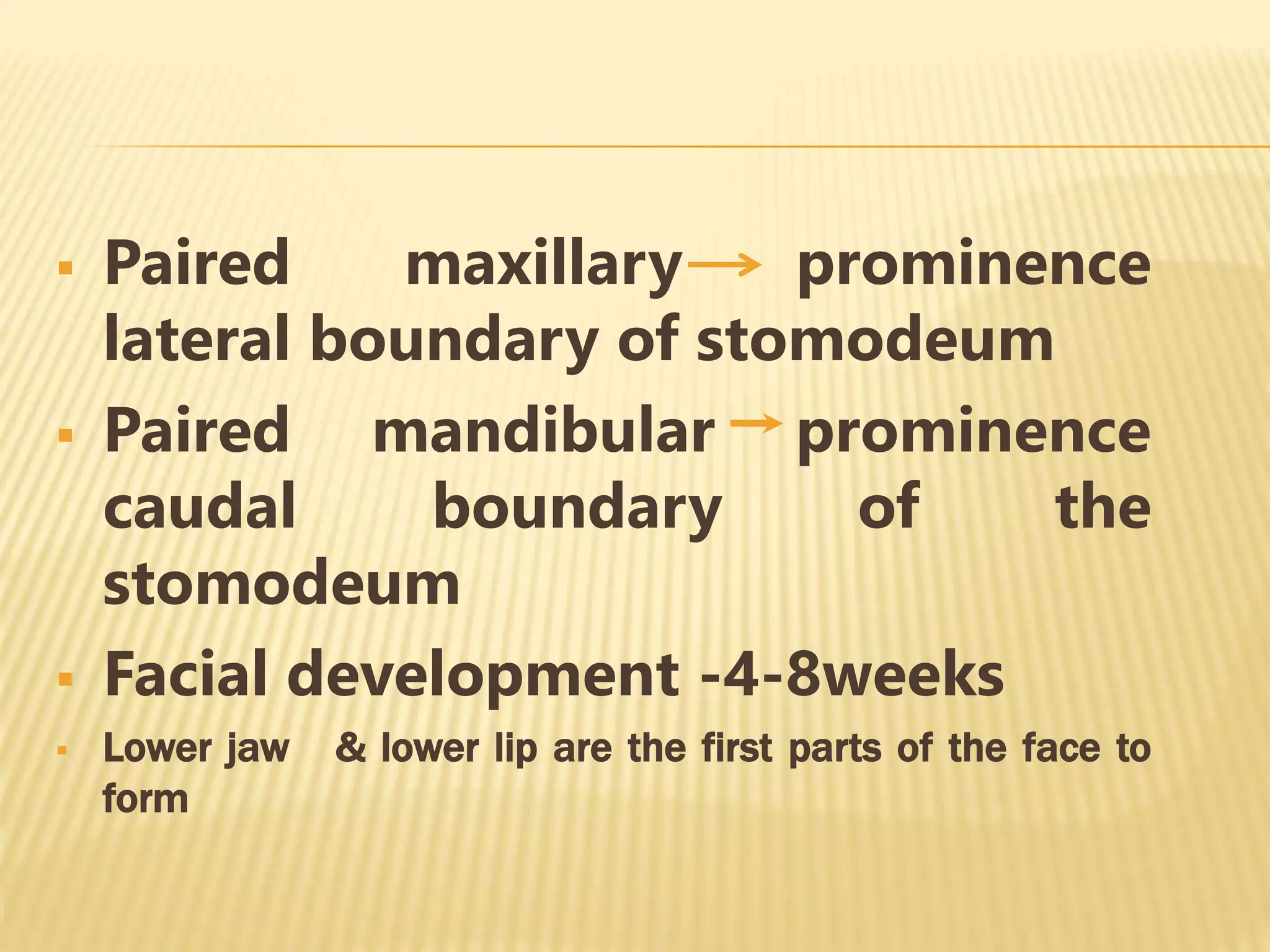Basic Embryology for 1st BDS students.pptx