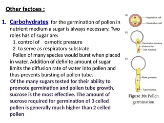 embryology, pollen pistil intraction , pollen germination | PPTX
