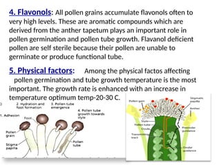 embryology, pollen pistil intraction , pollen germination | PPTX