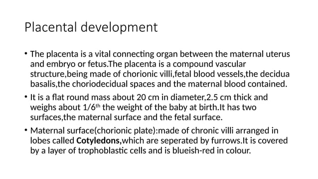 Presentation on embryology(development of fetus) | PPT