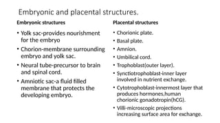 Presentation on embryology(development of fetus) | PPT