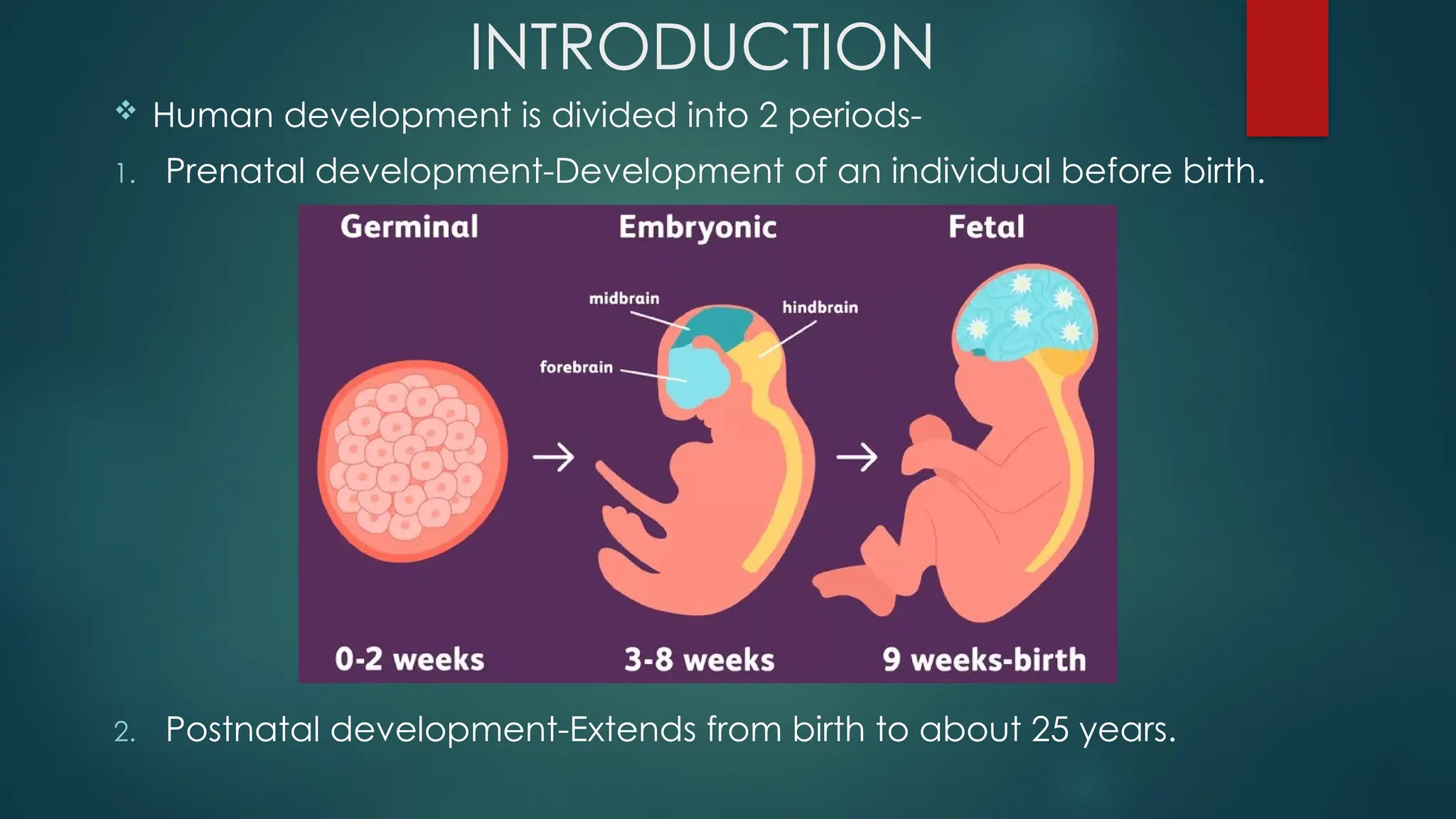 A POWER POINT POWERPOINT ON EMBRYOLOGY.pptx