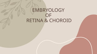EMBRYOLOGY OF RETINA AND CHOROID . ...... | PPTX