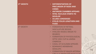 EMBRYOLOGY OF RETINA AND CHOROID . ...... | PPTX