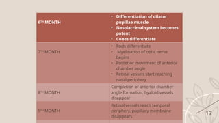 EMBRYOLOGY OF RETINA AND CHOROID . ...... | PPT