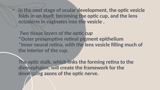 EMBRYOLOGY OF RETINA AND CHOROID . ...... | PPT