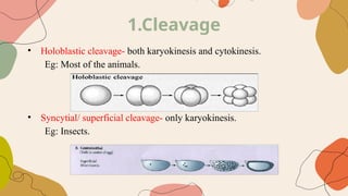 Insect Embryology (Pre and Post embryonic development) | PPTX