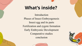Insect Embryology (Pre and Post embryonic development) | PPTX