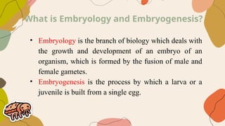 Insect Embryology (Pre and Post embryonic development) | PPTX