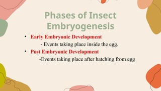 Insect Embryology (Pre and Post embryonic development) | PPTX