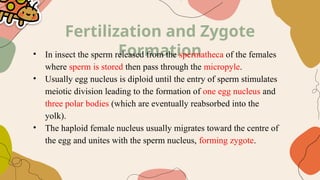 Insect Embryology (Pre and Post embryonic development) | PPTX