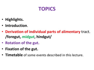 Embryology alimentary system 2 | PPT