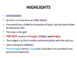 Embryology alimentary system 2 | PPT