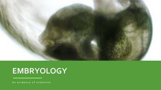EMBRYOLOGY-bio-1.Evidence of evolution.pptx