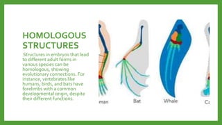 EMBRYOLOGY-bio-1.Evidence of evolution.pptx