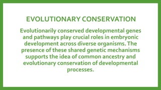 EMBRYOLOGY-bio-1.Evidence of evolution.pptx