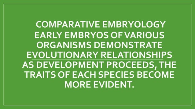 Embryology Bio 1 Evidence Of Evolution Pptx