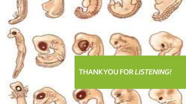 Embryology Bio 1 Evidence Of Evolution Pptx