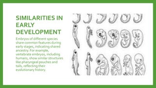 EMBRYOLOGY-bio-1.Evidence of evolution.pptx