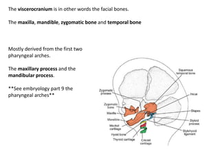 Embryology part 10 | PDF