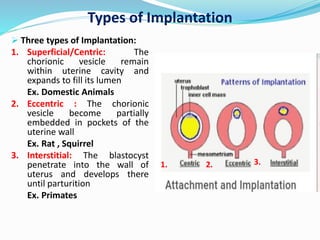 Embryology-Part-1 (1) (1).pdf NBBVVVVHJM | PDF