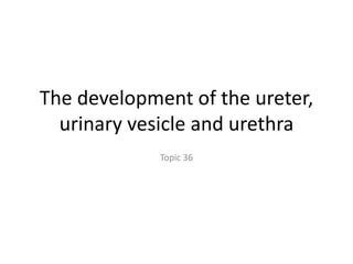 Embryology part 7 | PPT