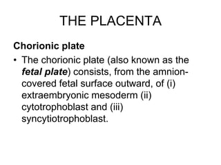 Embryology The Placenta | PPT