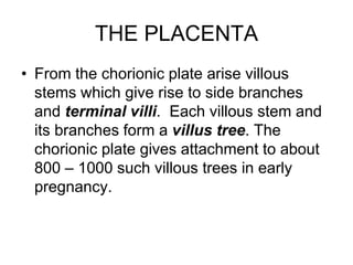 Embryology The Placenta | PPT