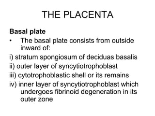 Embryology The Placenta | PPT