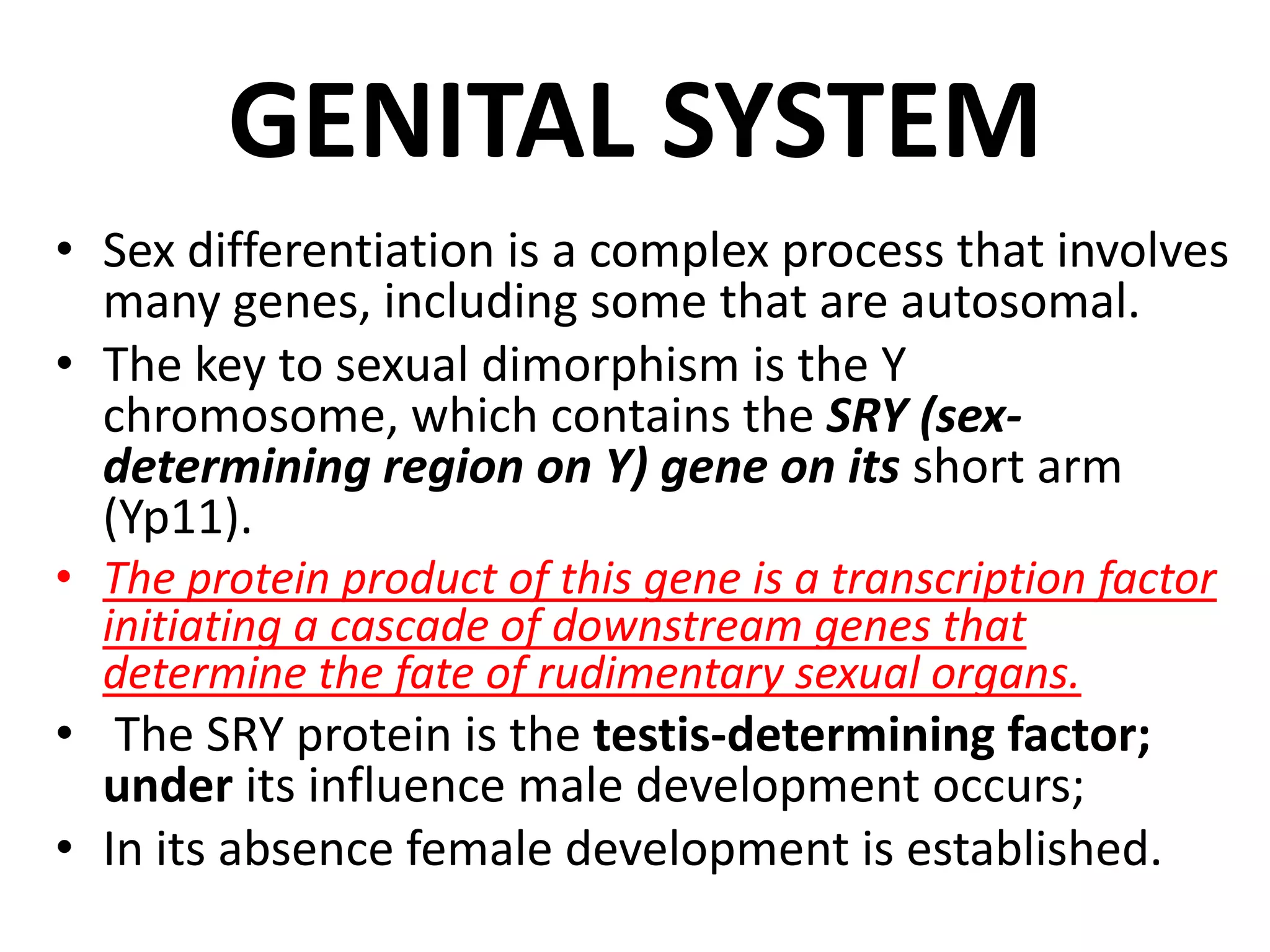 Embryology urogenital system | PPTX