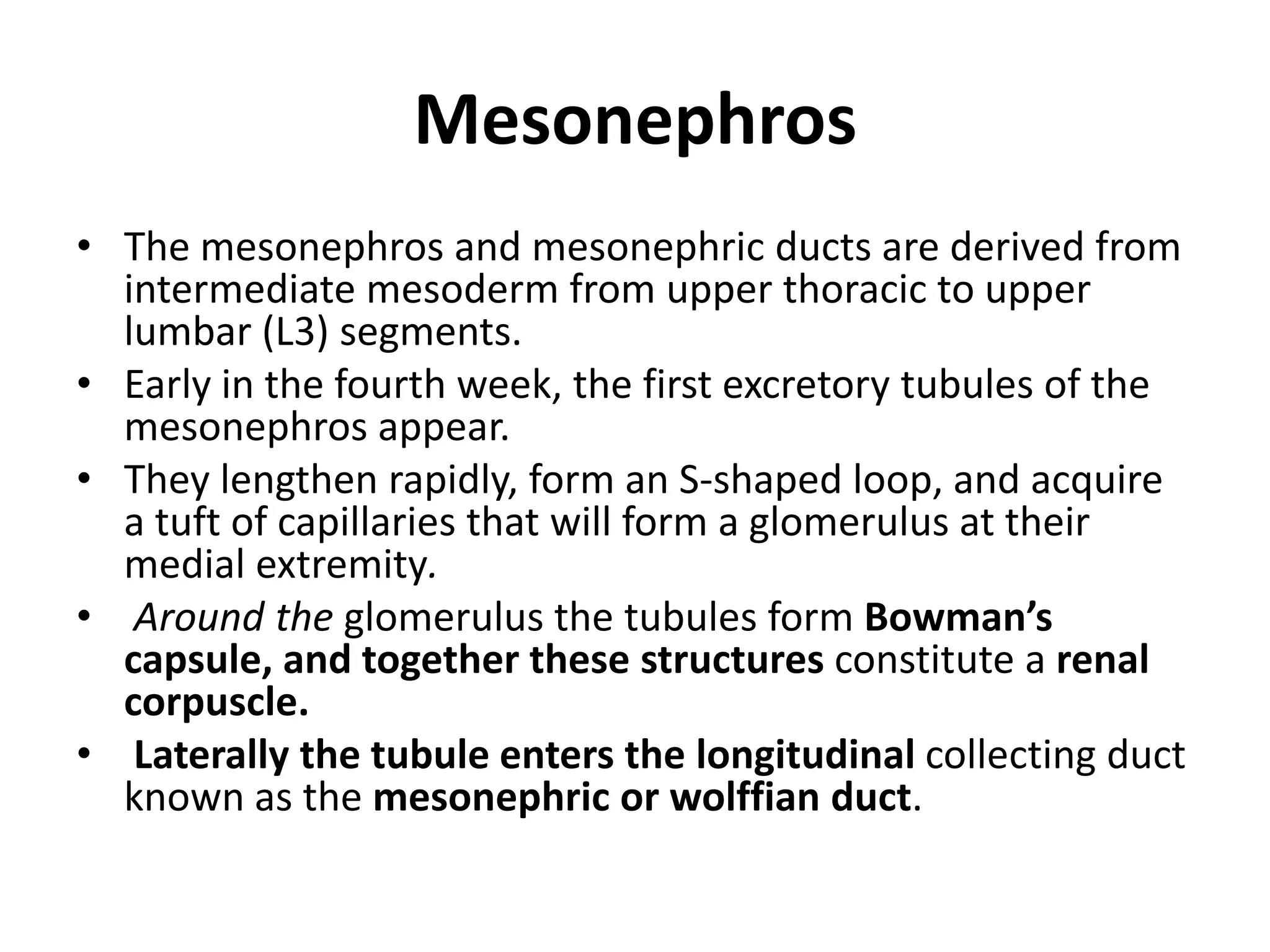 Embryology urogenital system | PPTX | Reproductive Health | Diseases ...