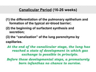 development of lung | PPT