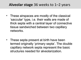 development of lung | PPT