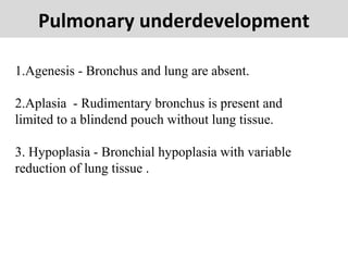 development of lung | PPT