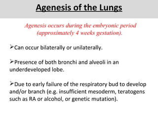 development of lung | PPT
