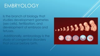 Embryology 1.pptx........................ | PPTX