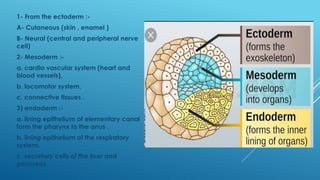 Embryology 1.pptx........................ | PPT