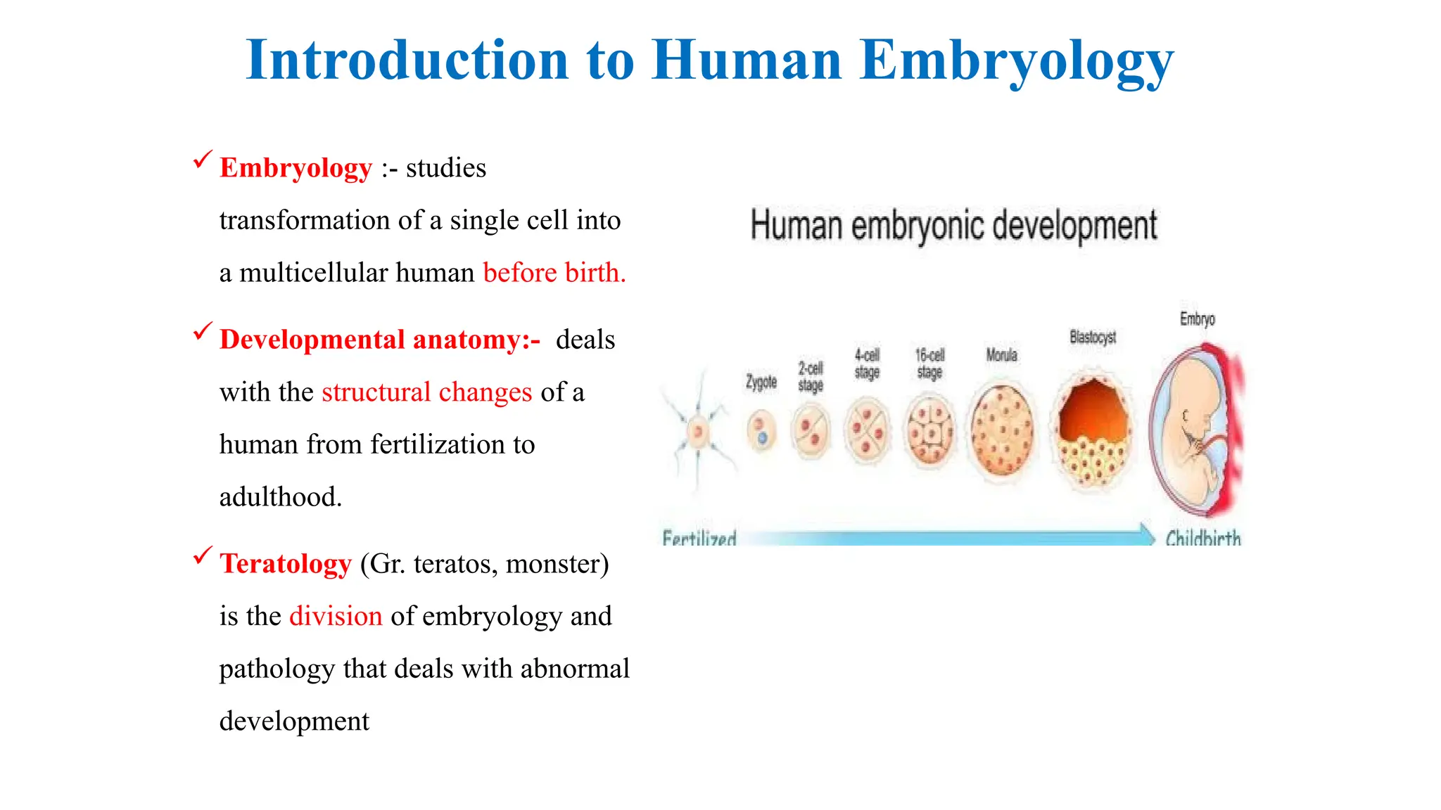 Embryology 1.pptx best ppt for medical student to be work hard at | PPTX