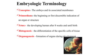 Embryology 1.pptx best ppt for medical student to be work hard at | PPTX