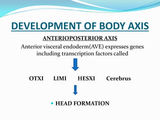 histology of Embryology 1 (2) | PDF