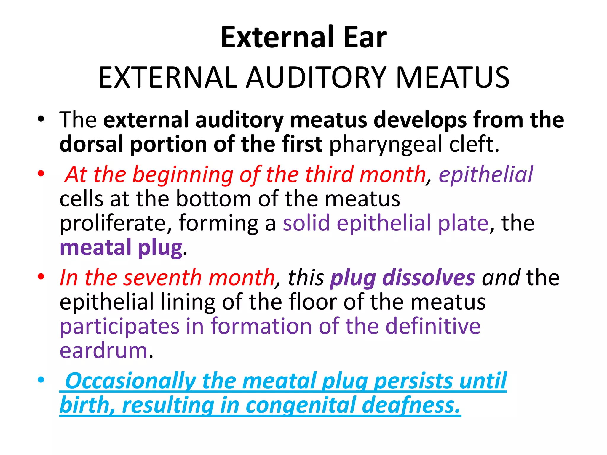 Embryology 18 ear | PPTX