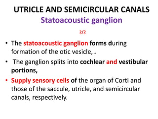 Embryology 18 ear | PPTX