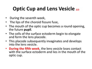 Embryology 19 eye | PPTX