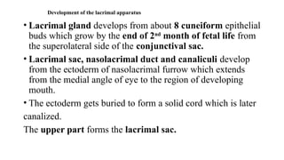 EMBRYOLOGY Anatomy of the eye and it's development | PPTX