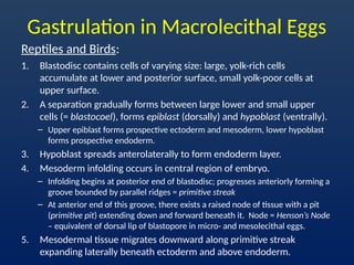 Descriptive embryology and developmental biology lecture .pptx
