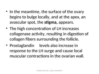 EMBRYOLOGY 2 FETILIZATION TO OVULATION.ppt