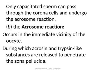 EMBRYOLOGY 2 FETILIZATION TO OVULATION.ppt
