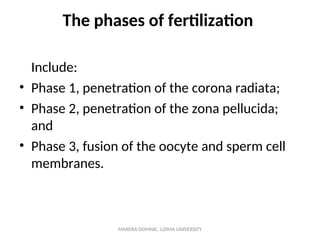 EMBRYOLOGY 2 FETILIZATION TO OVULATION.ppt