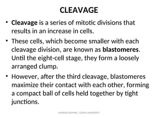 EMBRYOLOGY 2 FETILIZATION TO OVULATION.ppt